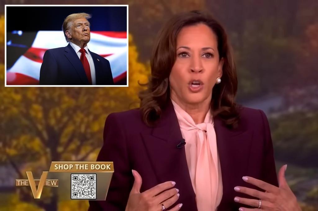 Kamala Harris afirmó que no había tenido suficiente tiempo para ...