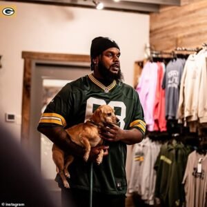 La estrella de la NFL Rasheed Walker ‘arrestada por cargos de armas’ en ...